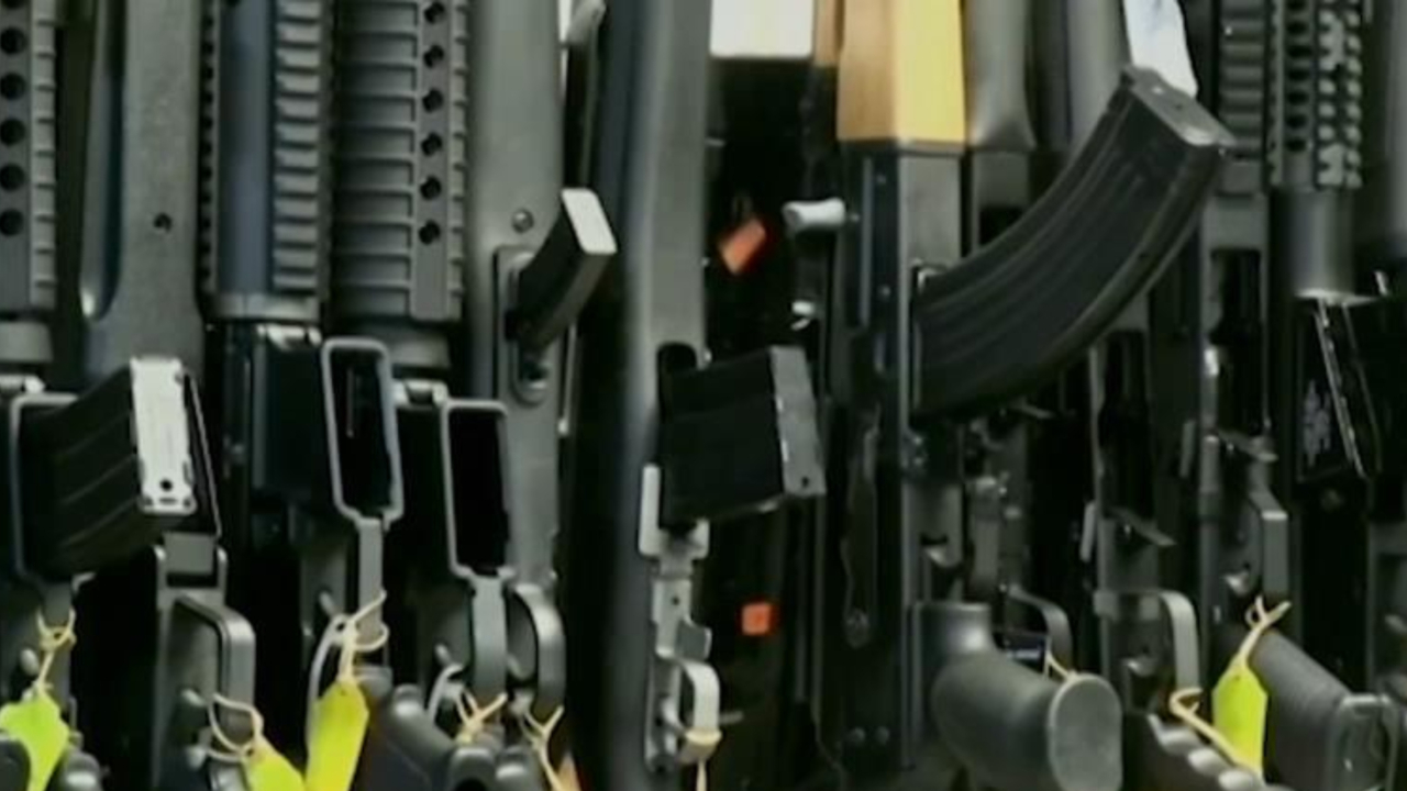 Canada gun buyback: Phase 1 focuses on industry - CityNews Ottawa