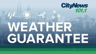 Ottawa weather conditions and extended forecast | CityNews Ottawa