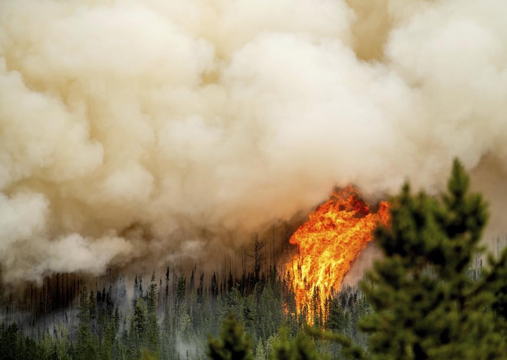 Canada sees 100,000 square kilometres burned this record-breaking ...