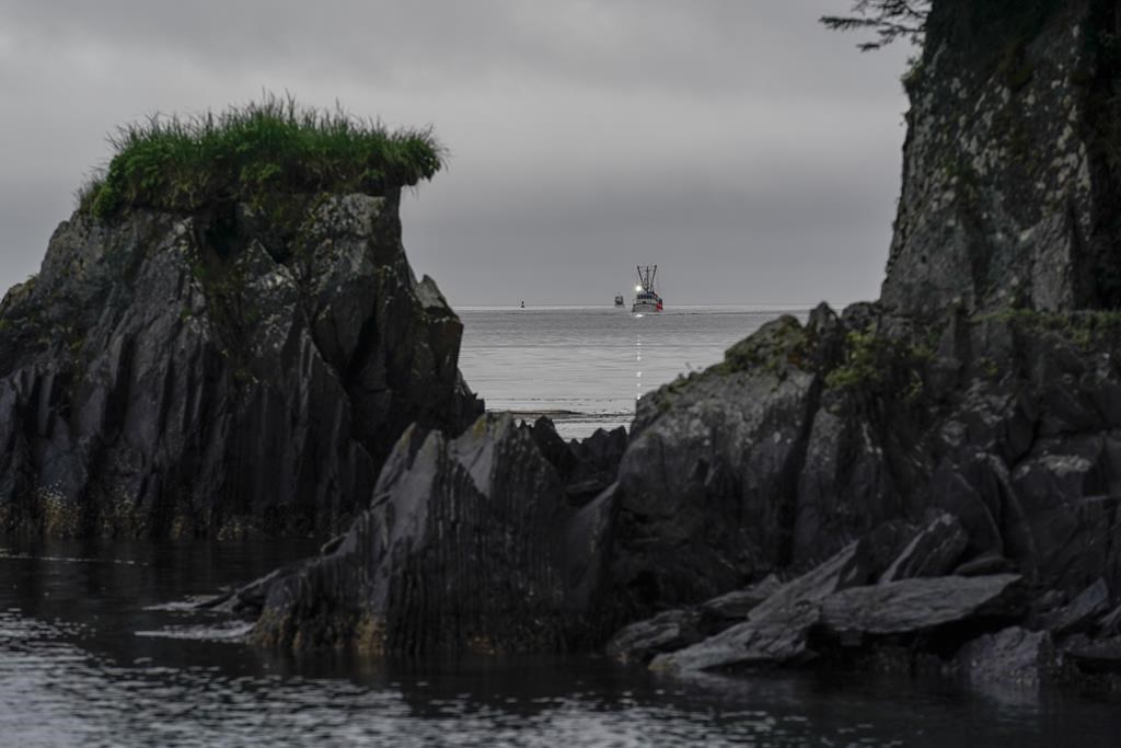As climate change and high costs plague Alaska's fisheries, fewer young ...