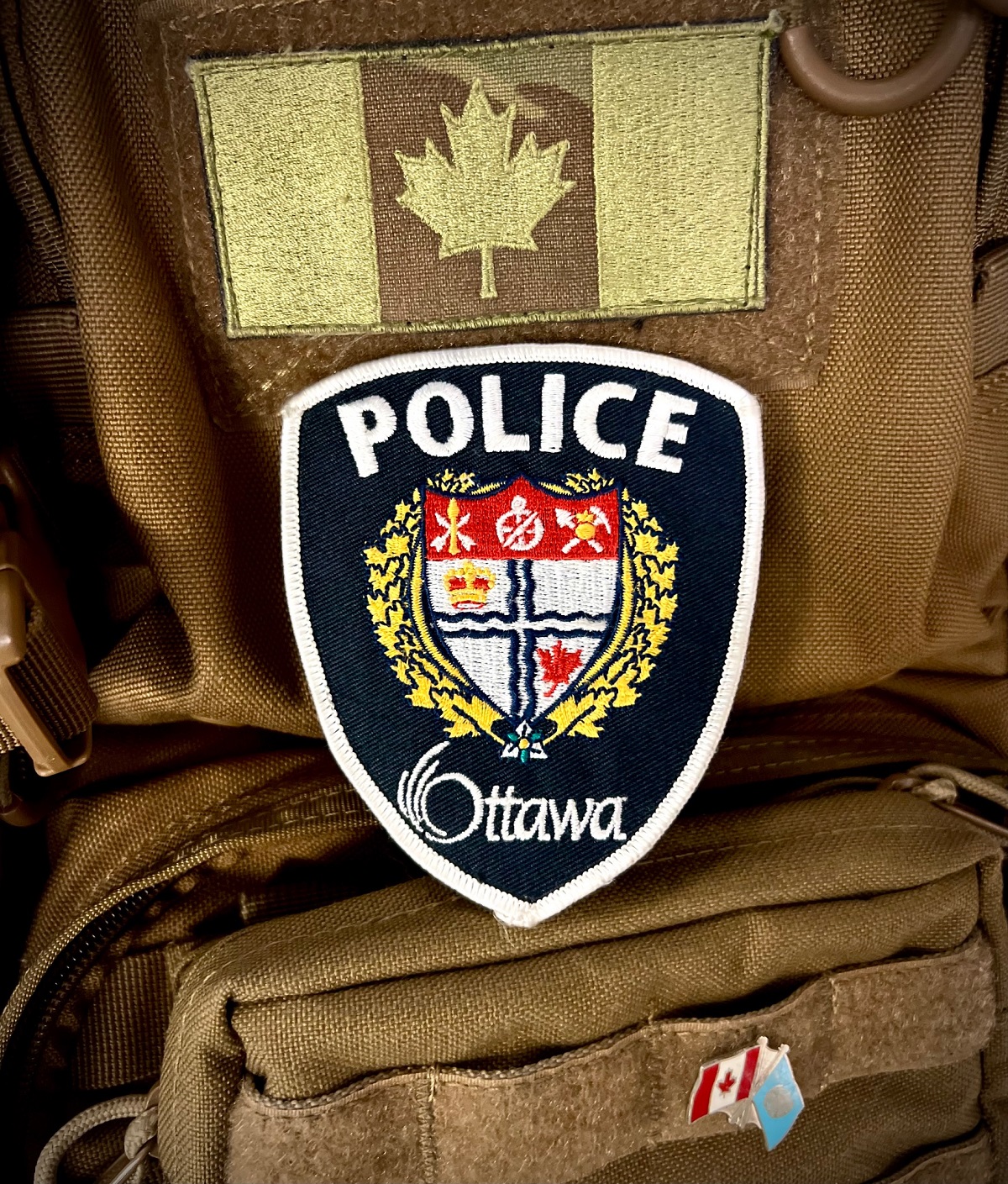 Police nab driver with no insurance, suspended licence