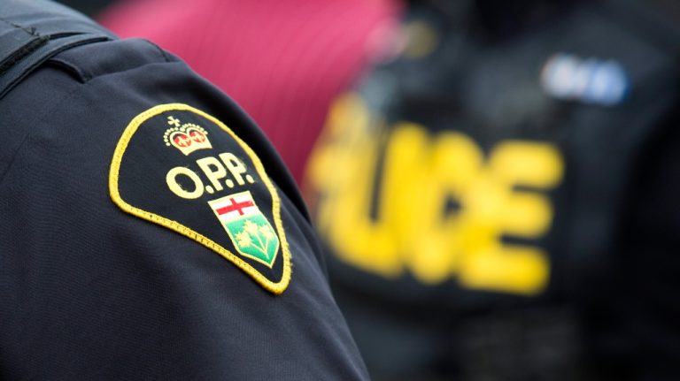 OPP canine unit tracks down Arnprior driver accused of stealing gas and ...