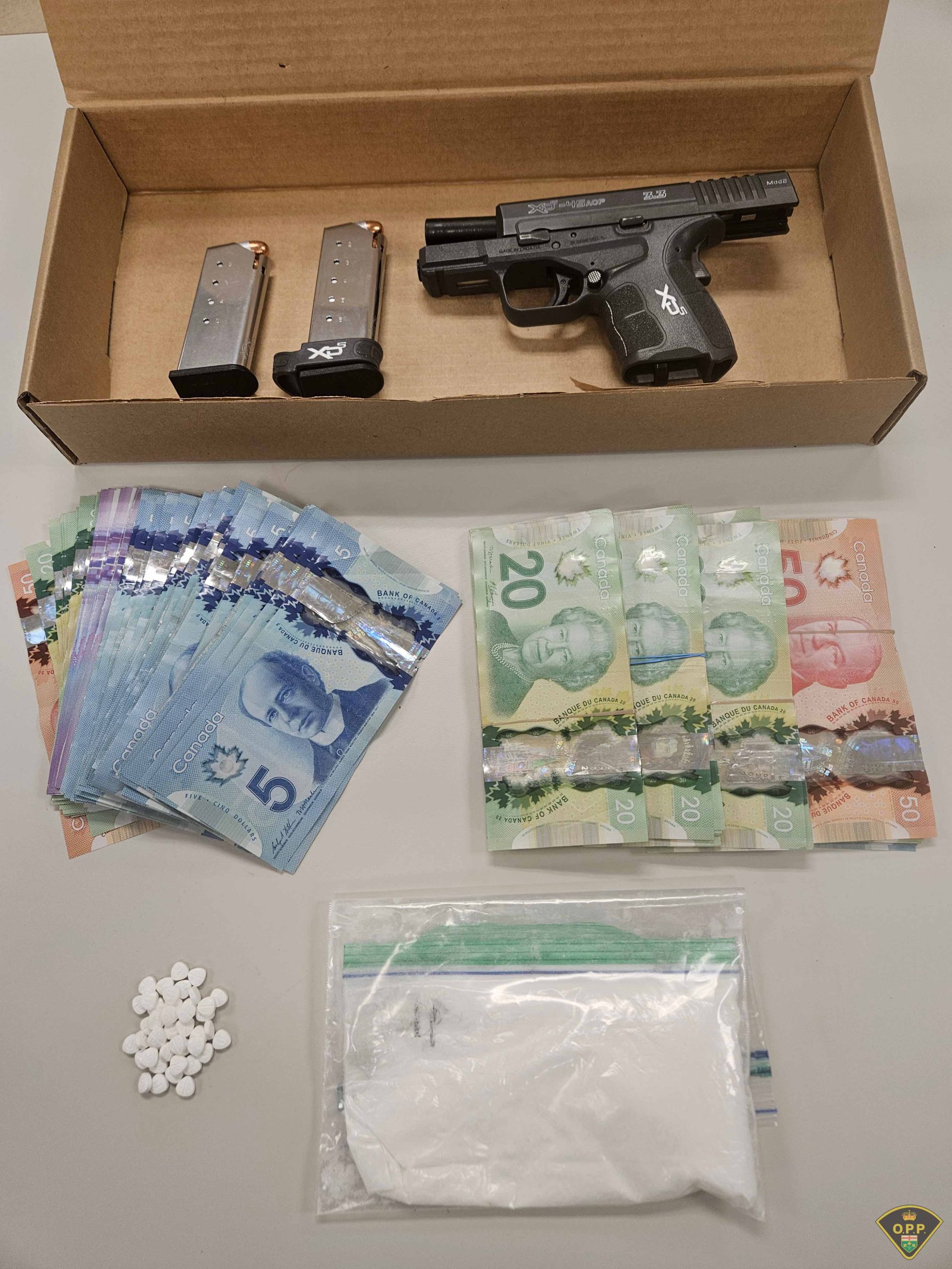 Pair arrested after OPP seize drugs and guns in Avalon