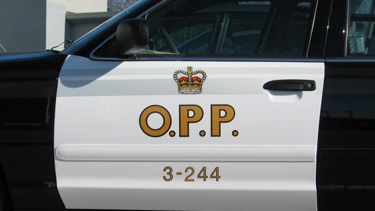 Shots fired at parked cars in Vankleek Hill area: OPP seeking information