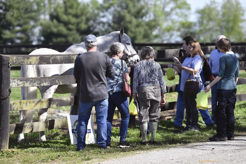 For ex-Derby winner Silver Charm, it's a life of leisure and Old ...
