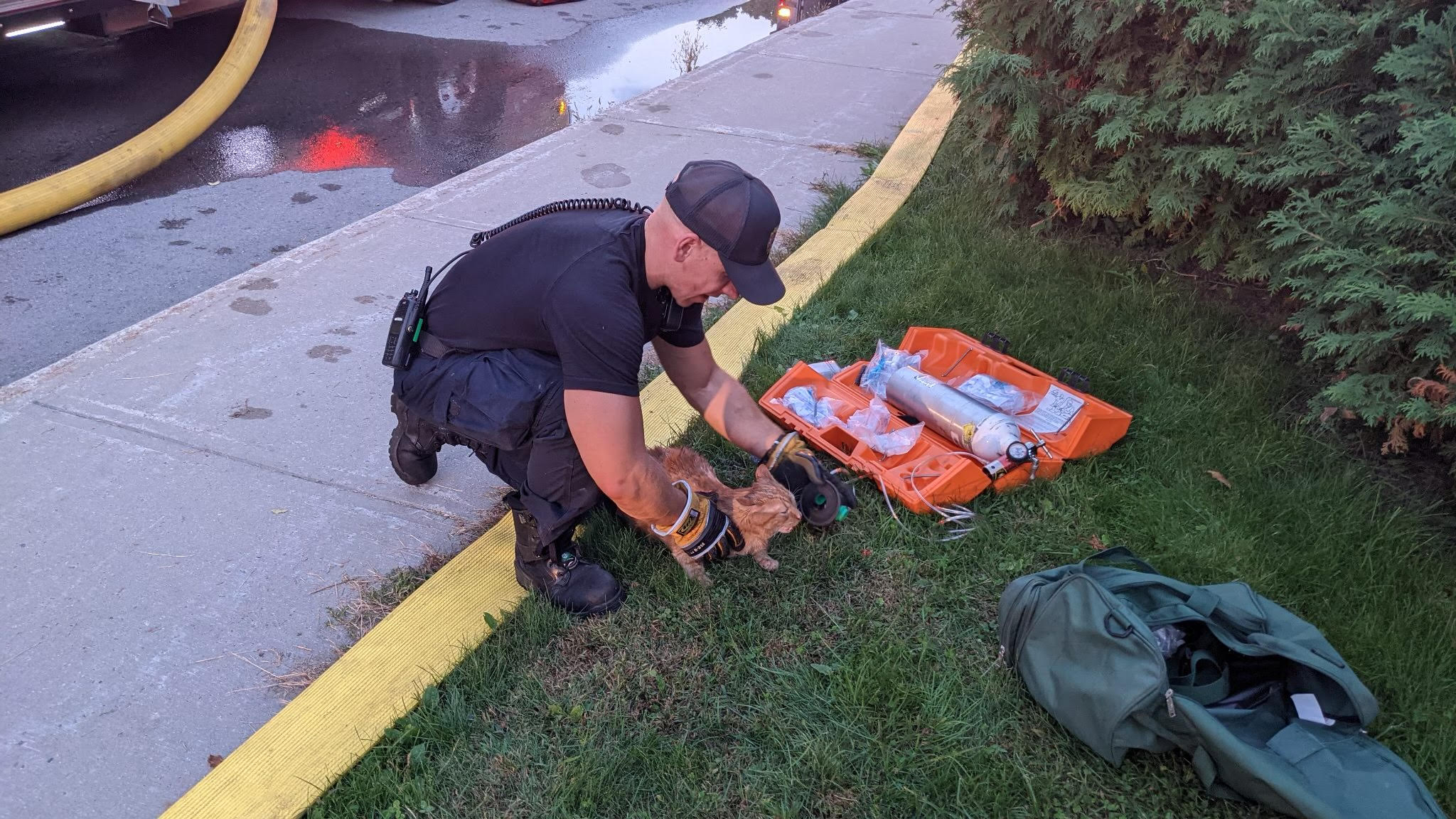Crews battle house fire in the Glebe