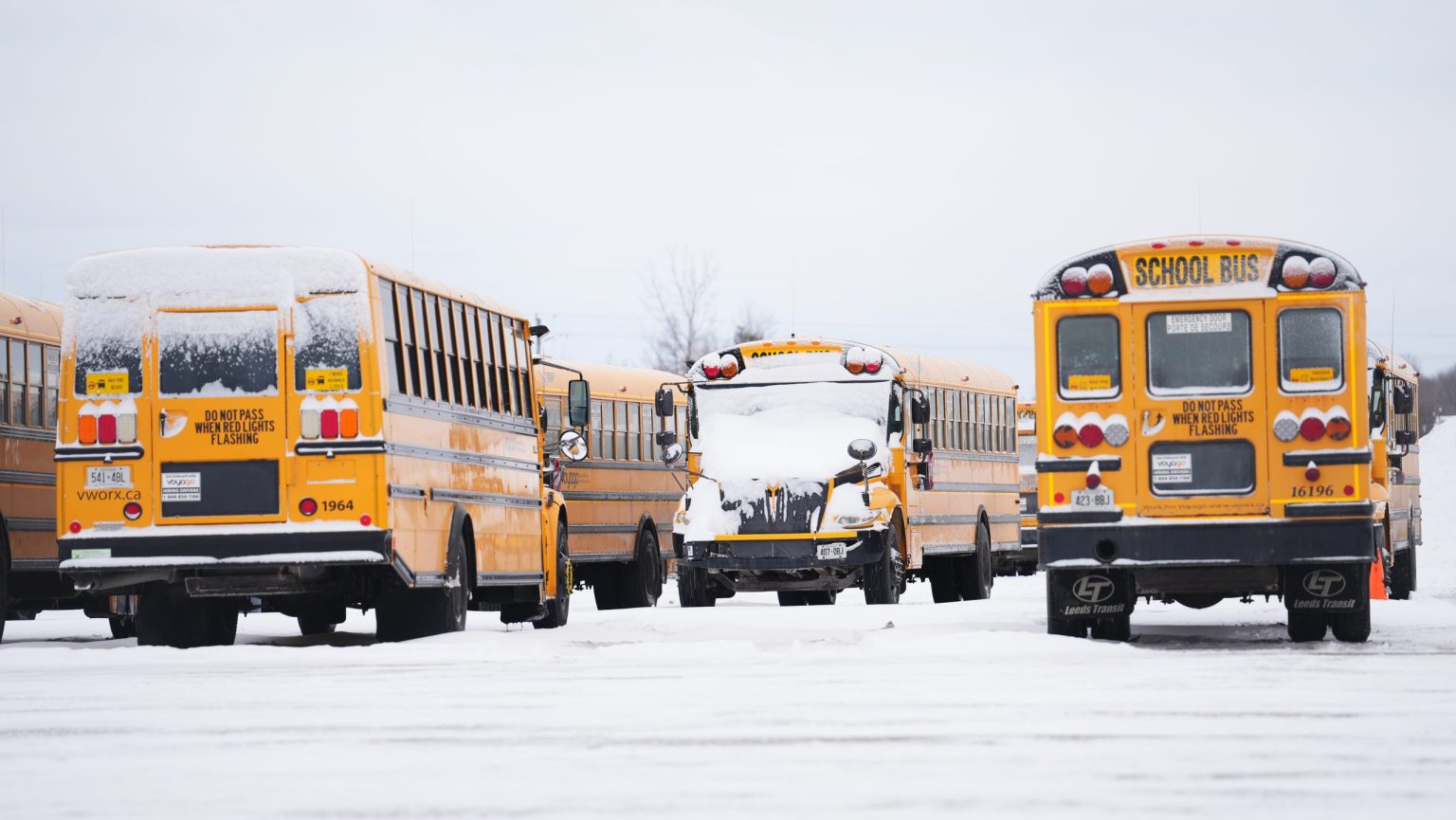 Snow day in Ottawa with messy commute, buses cancelled