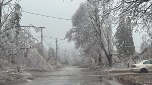 Ontario ice storm in photos