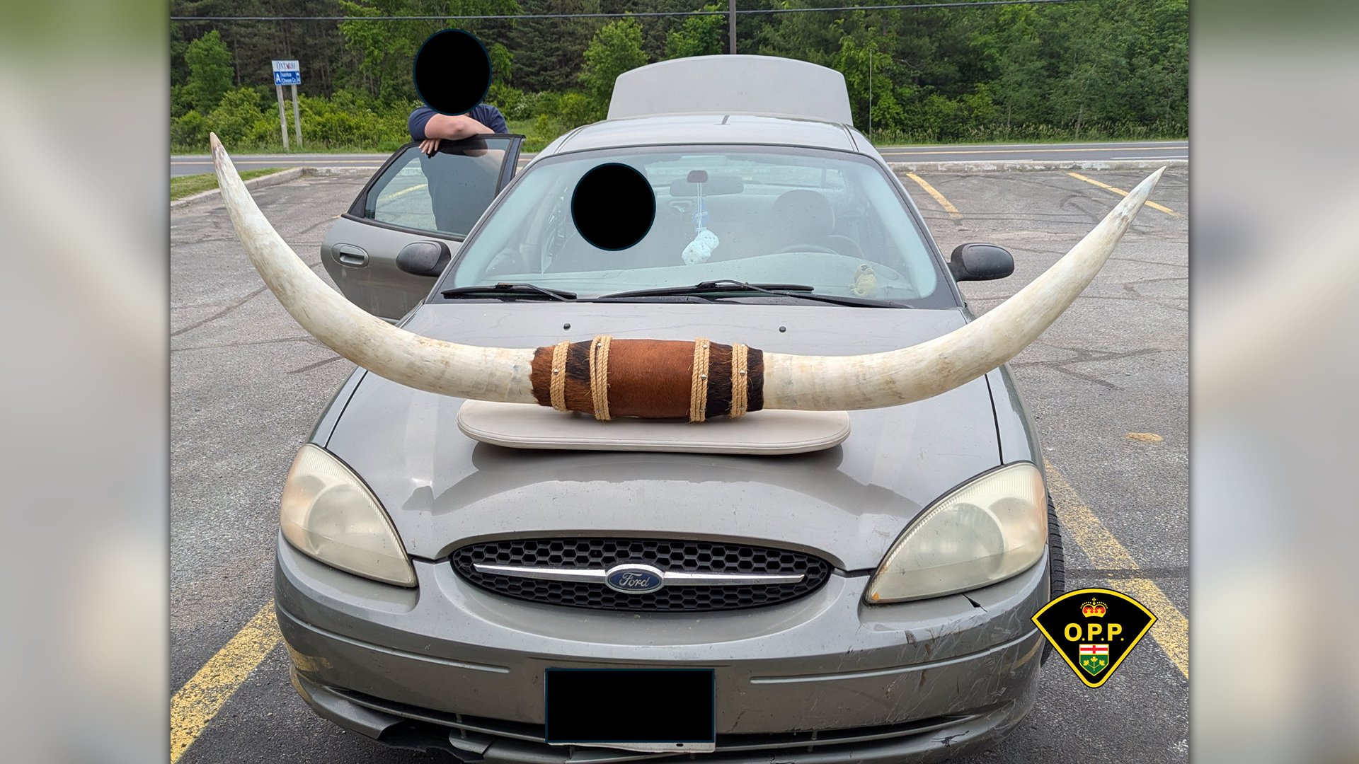 People wanted to attach big horns to car's hood, police say 'no'