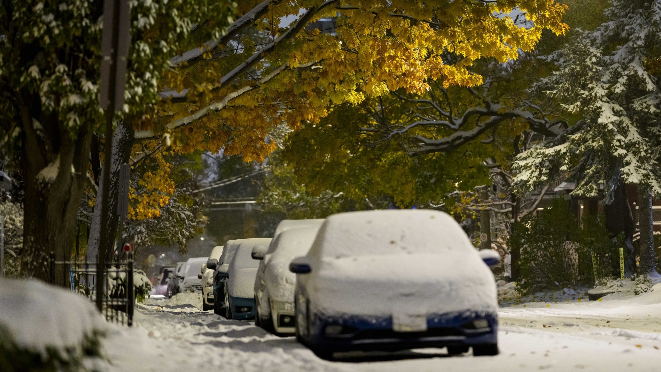 First of the season snowfall breaks over 50-year record