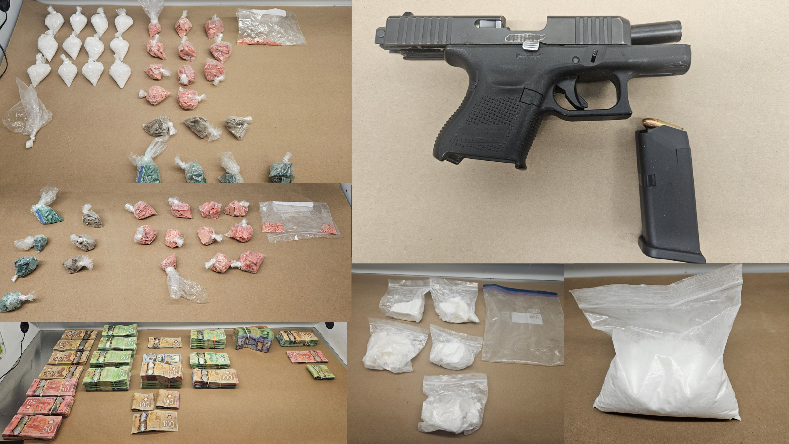 Prolific drug network disrupted by police in National Capital Region