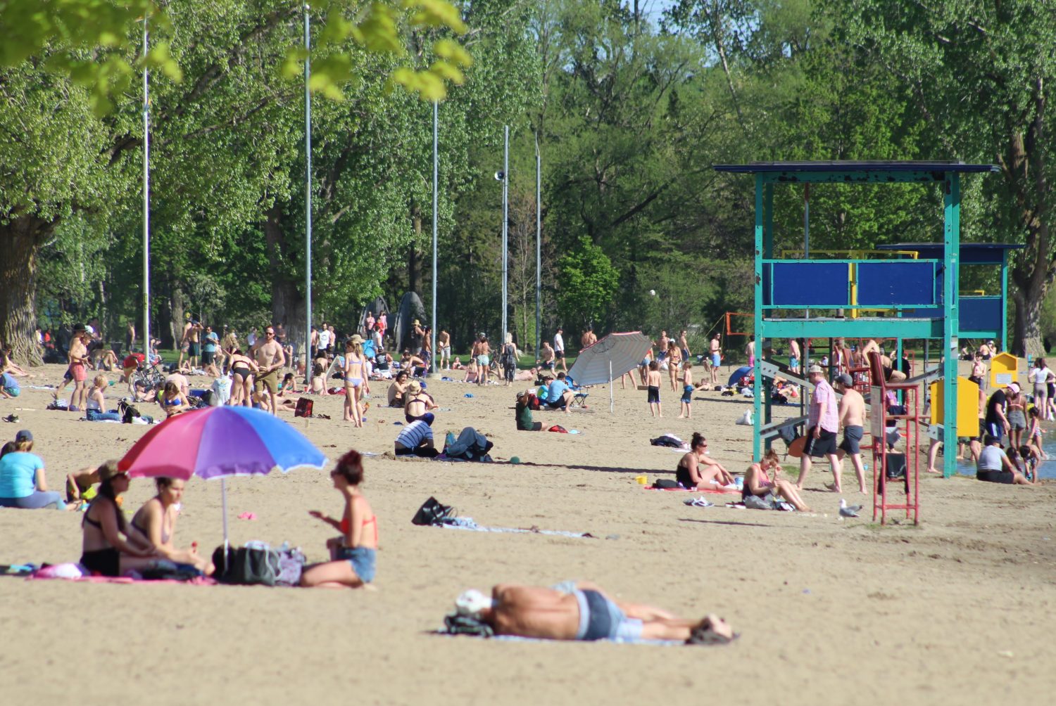 Water quality swimmable at four Ottawa beaches this Canada Day