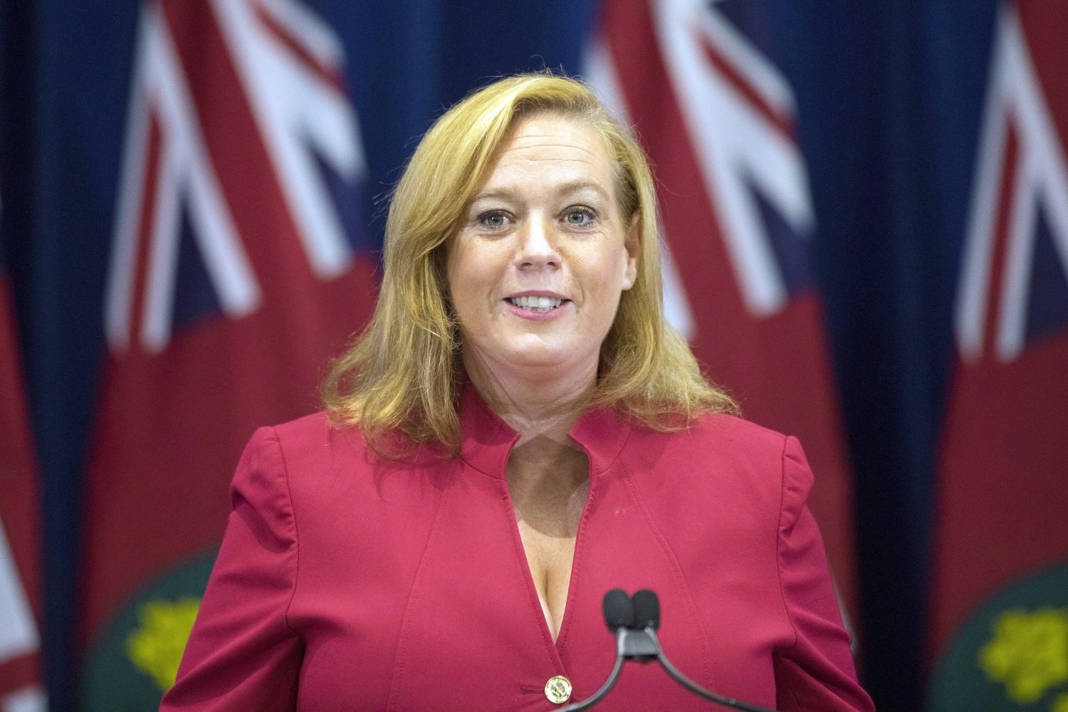 Nepean MPP Lisa MacLeod returns to Queen's Park after revealing bipolar ...