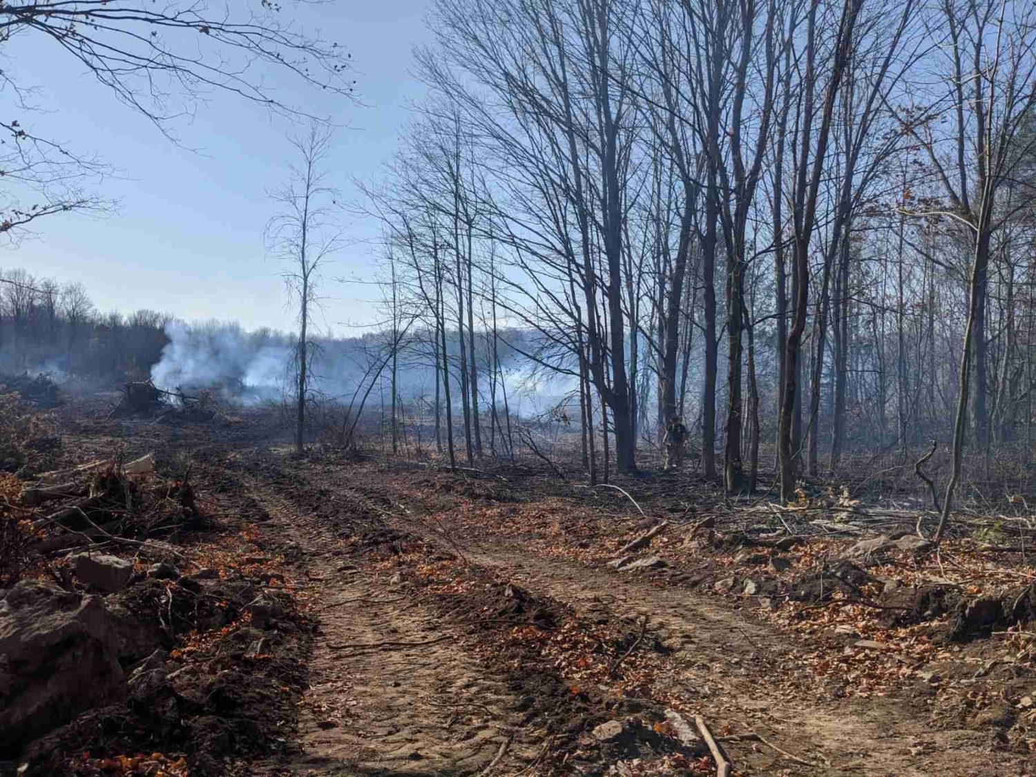 Fire crews tame wild grass fire in rural east end of Ottawa