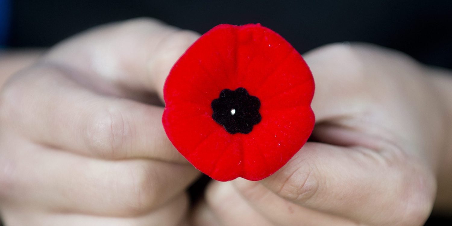 New poppy campaign initiatives seek to modernize the tradition of ...