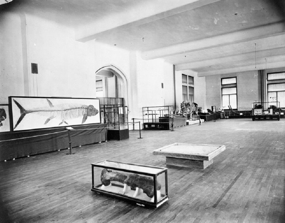 Remember This? The Victoria Memorial Museum
